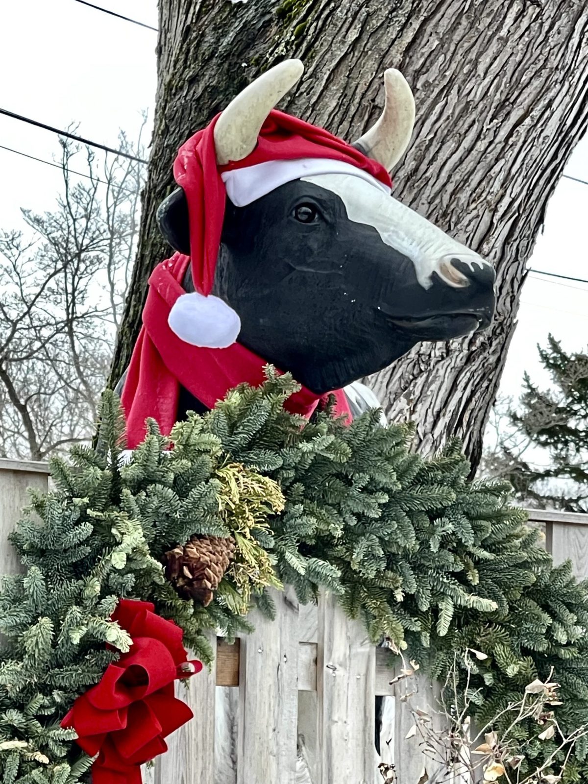 Festive Farm Animal | The Town Common