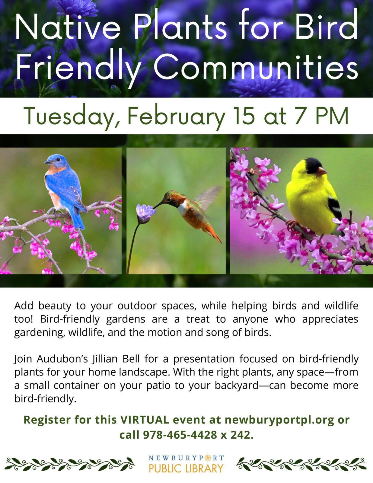 Native Plants for Bird Friendly Communities | The Town Common