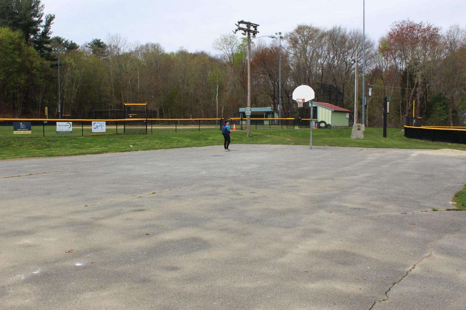 Baseball Versus Pickleball | The Town Common
