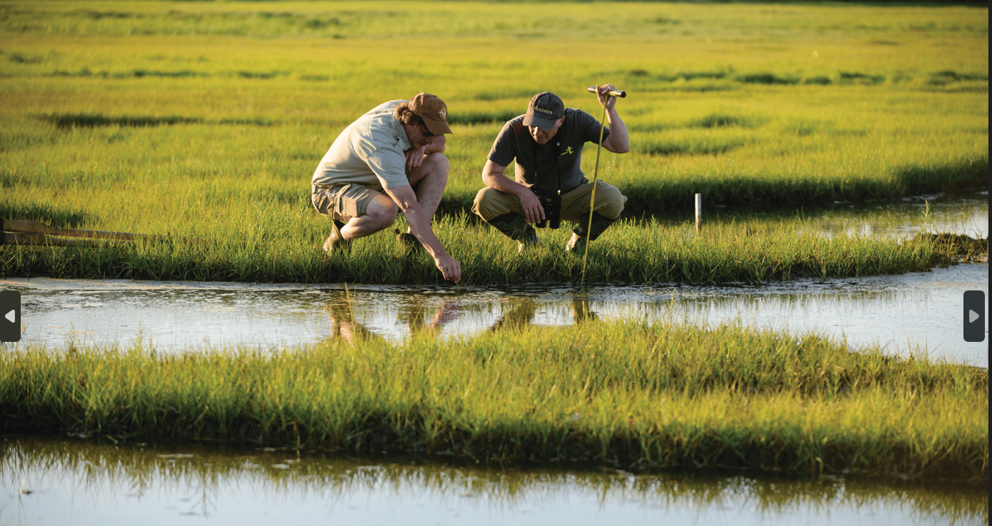 The Trustees and U.S. Fish and Wildlife Service Honored for Work to ...